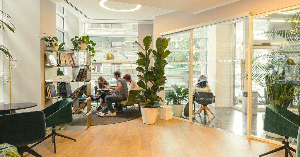 The Alternative | Launching careers and growing opportunities